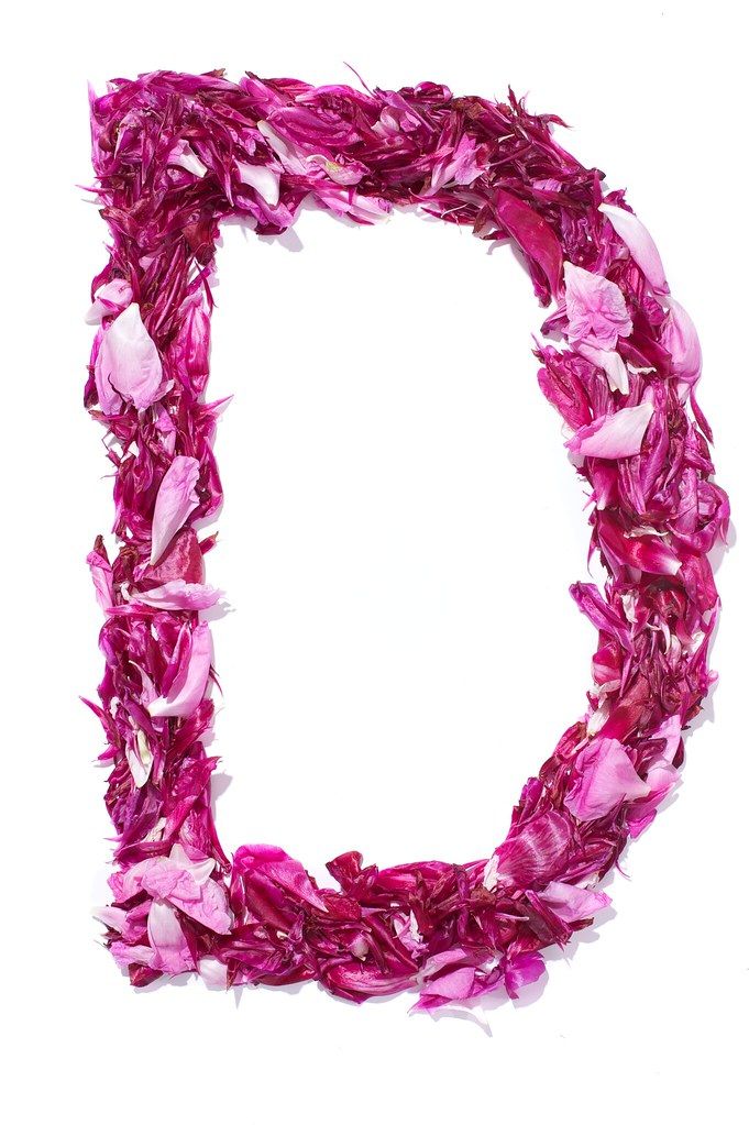 The Letter 'D': Unpacking the Fascinating History, Sounds, and Meanings ...