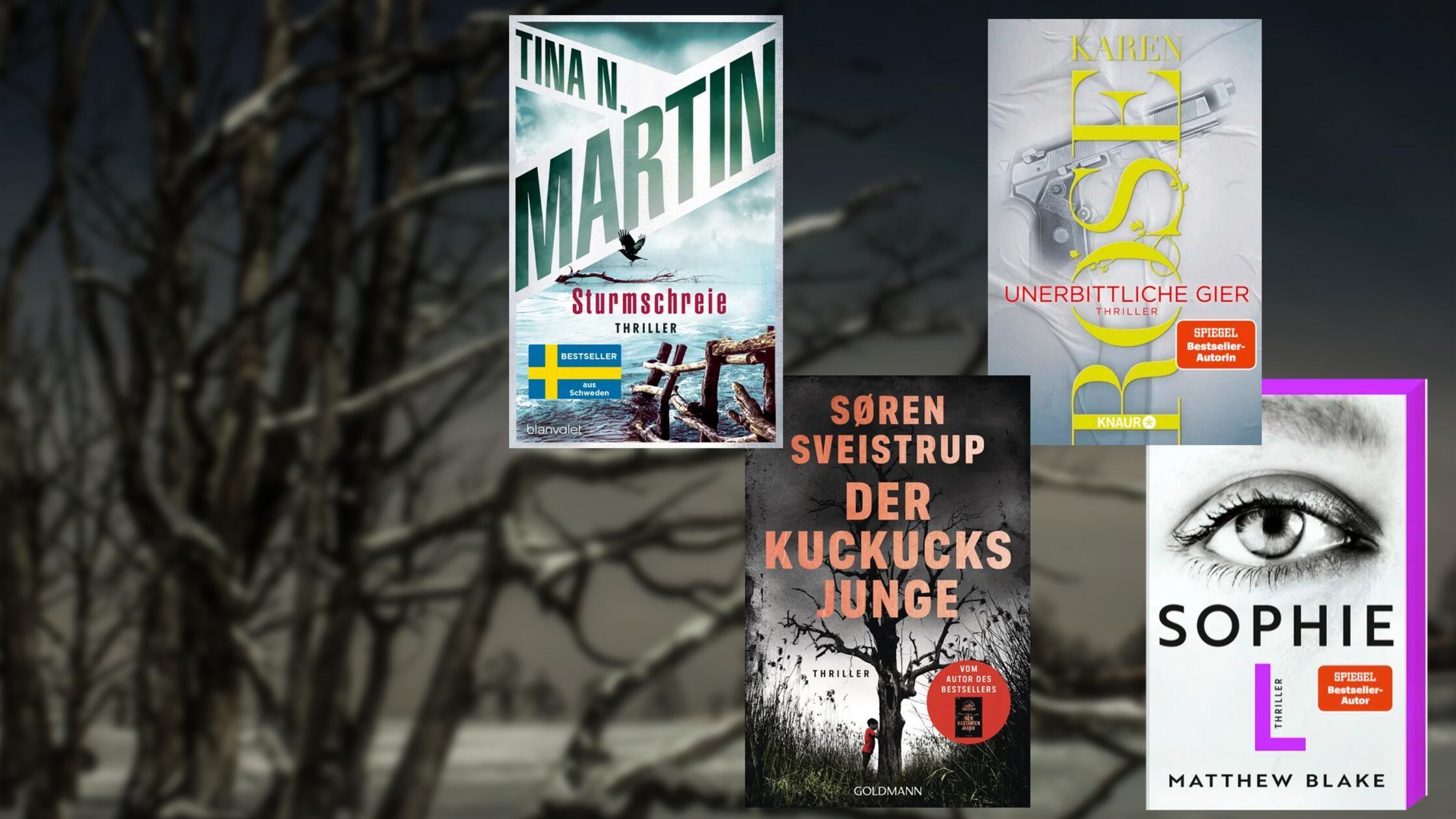 Thriller-Fans aufgepasst: Diese Neuerscheinungen bringen Nervenkitzel ...