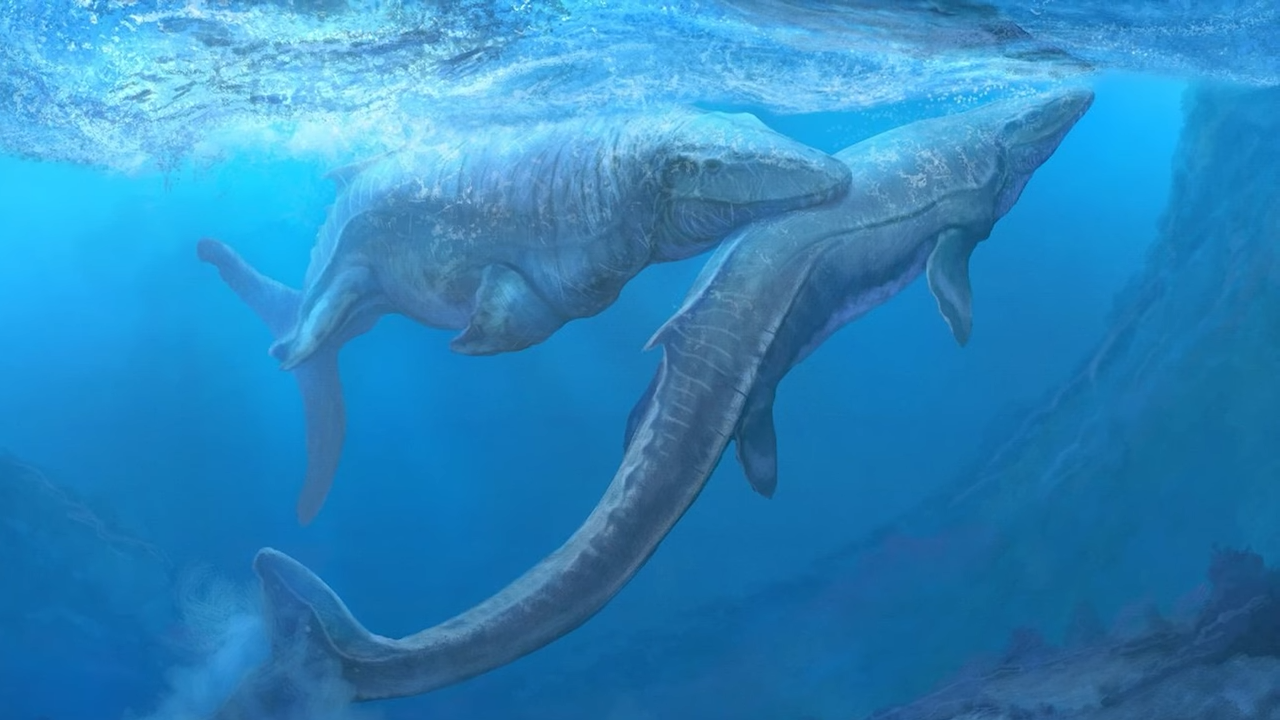 The apex predator that turned Cretaceous rivers into death traps