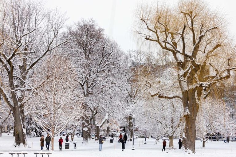 Massachusetts weather: Snow causes school closures and delays amid ...