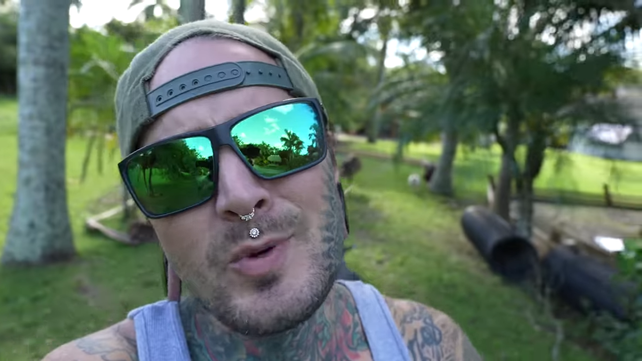 The breathtaking debut of baby golden eyelash vipers caught on camera