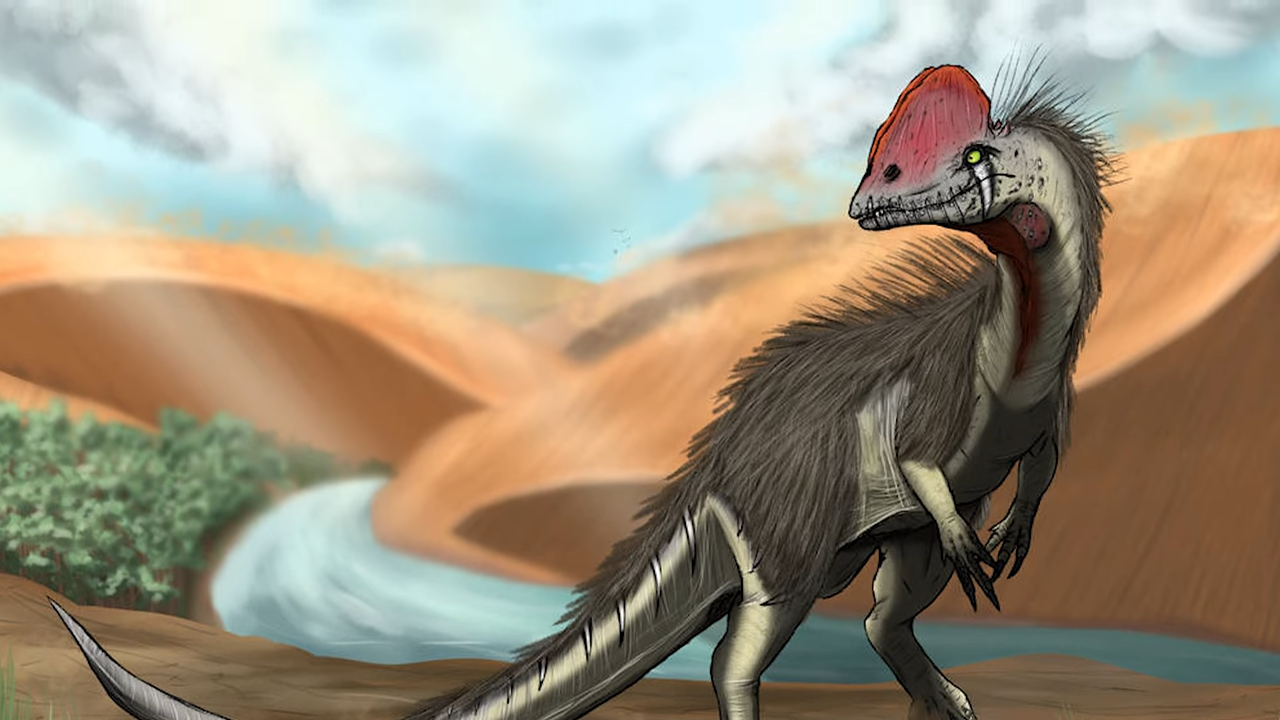 The ancient predator whose reputation was distorted by pop culture