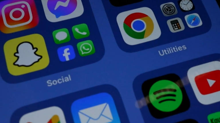 SA premier wants to be heard in court challenge against social media ban