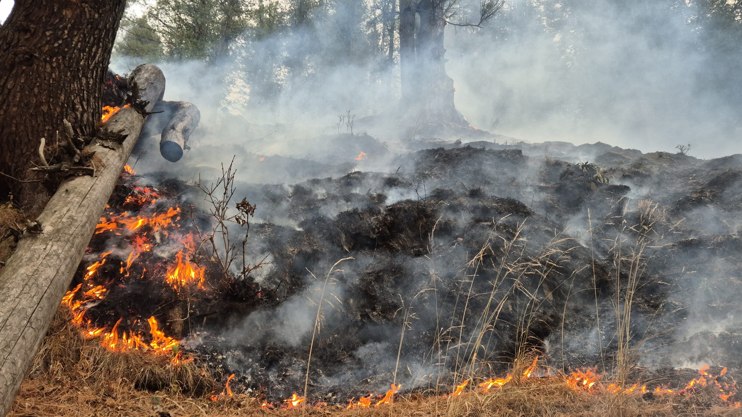 Fresh landmine blasts along LoC as forest fire rages for second day in ...