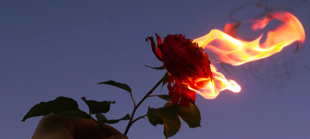 When a Crime Burns Up the Narrative