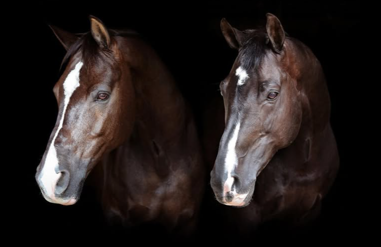 What happened to Valegro the horse? Charlotte Dujardin pays tribute to ...