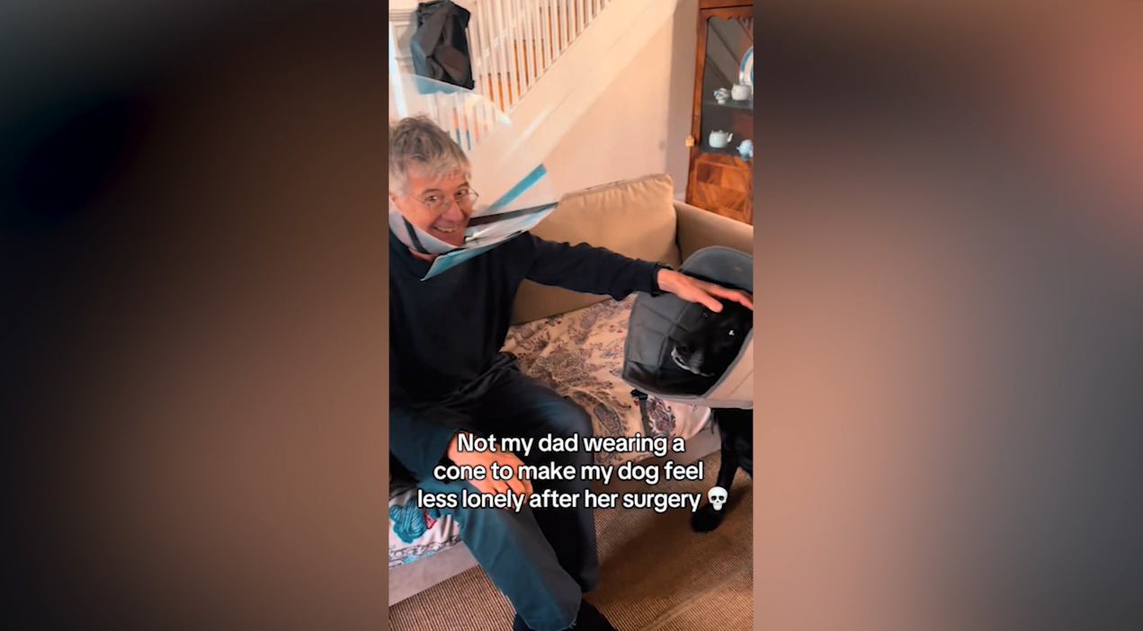 What Dad Does In ‘Solidarity’ When Dog Has Surgery