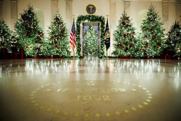 Natale alla Casa Bianca: 50 abeti, il ritratto di Trump con 6mila pezzi Lego, 10mila farfalle e ...