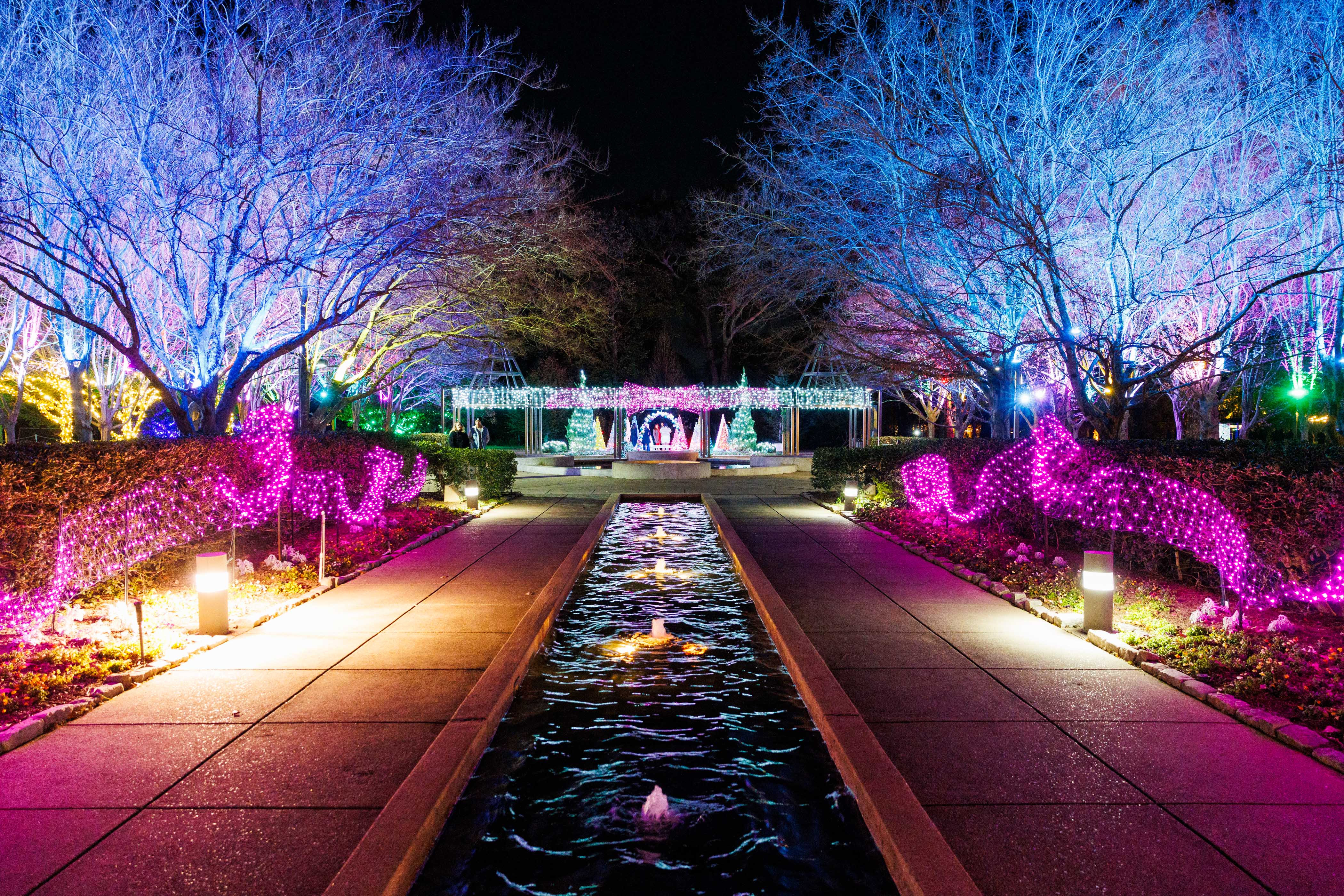 Where to find the best holiday light displays in Memphis area