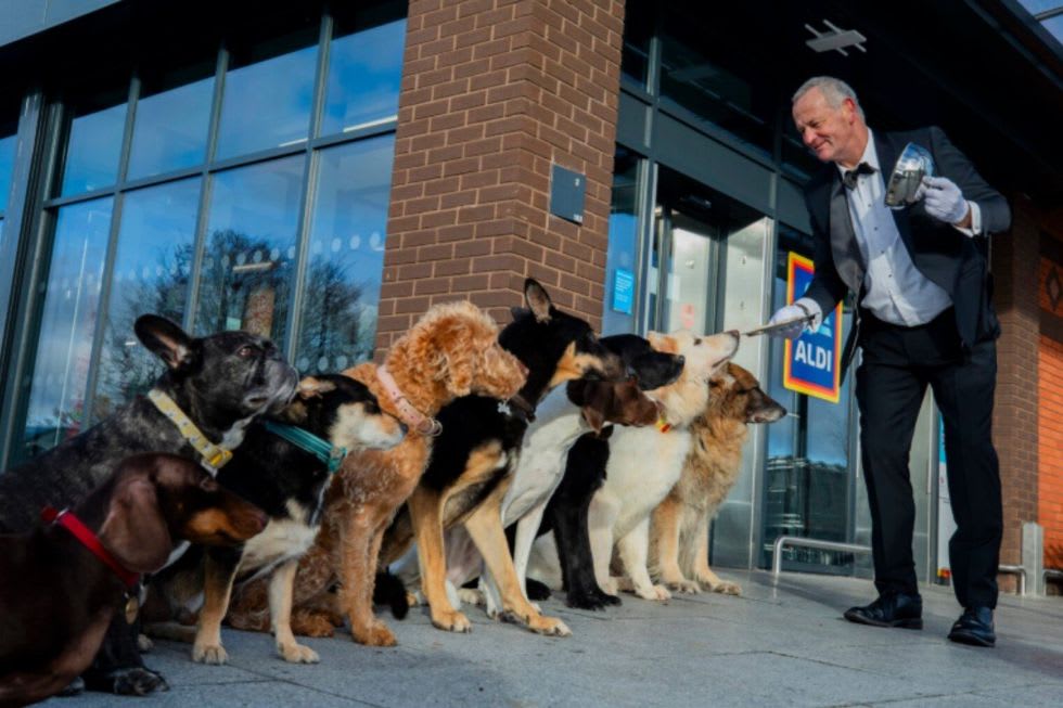 Aldi launches a brand-new £5 treat for pets this Christmas – but 'once ...