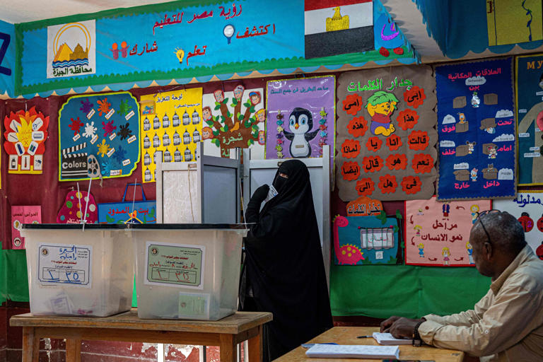 Egypt in political soul-searching mode after El Sisi calls out voting ...