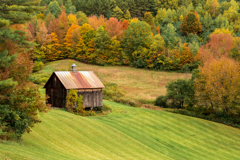 Rural farm stays with hands-on meals