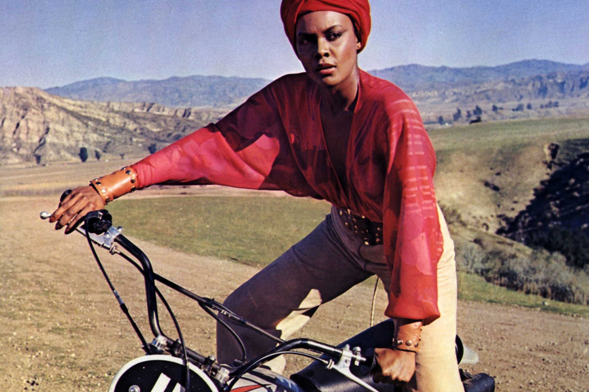 Tamara Dobson’s legacy as a groundbreaking action heroine