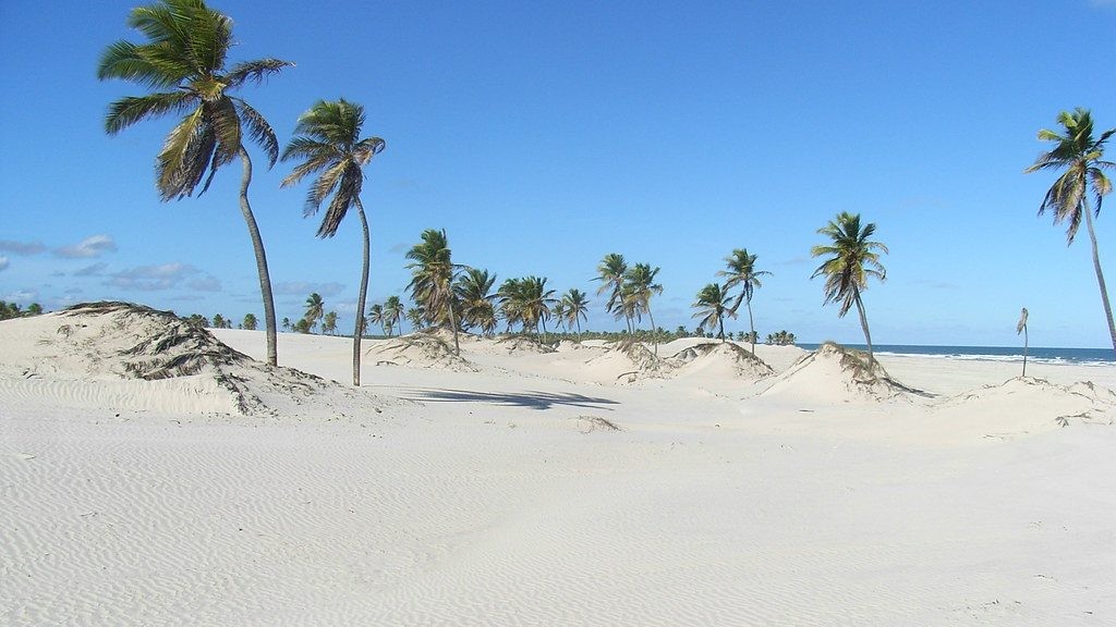 The Most Dangerous Vacation Spots To Avoid In 2025, Data Shows