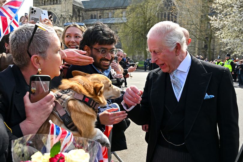 Kennel Club given new name thanks to King Charles