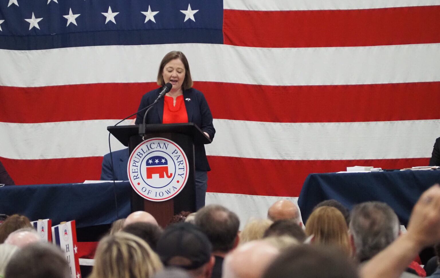 Iowa settles lawsuit against federal agency on voter citizenship status