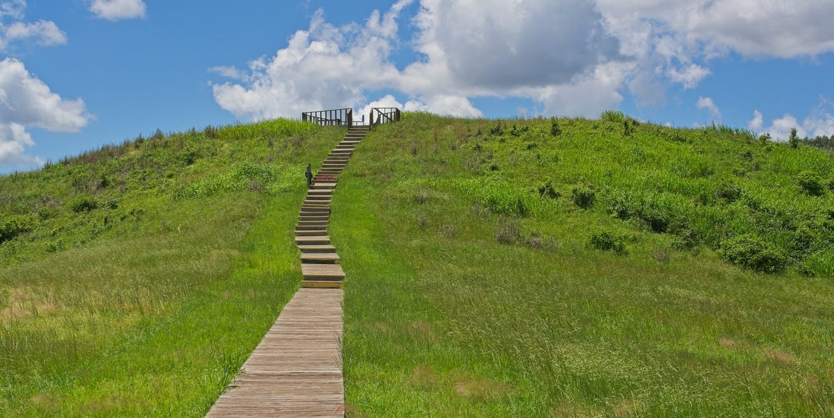 A New Study Revealed the Secret Origin of One of America’s Most ...