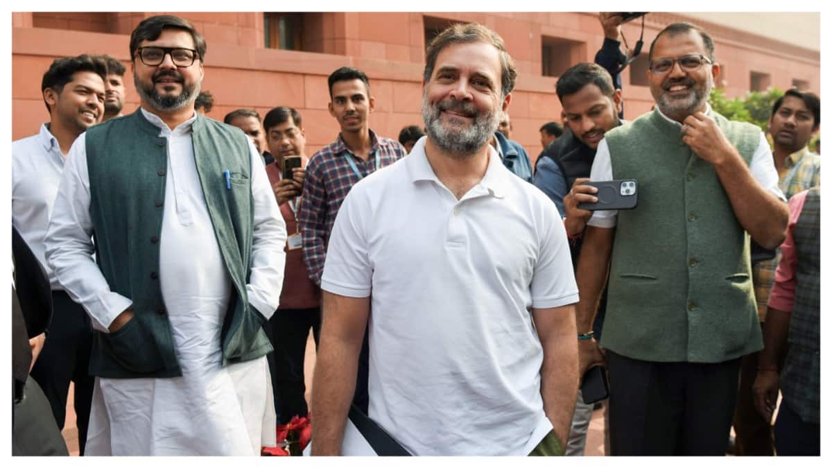 Rahul Gandhi Joins Parliament Dog Controversy, Says 'Pets Are Allowed ...