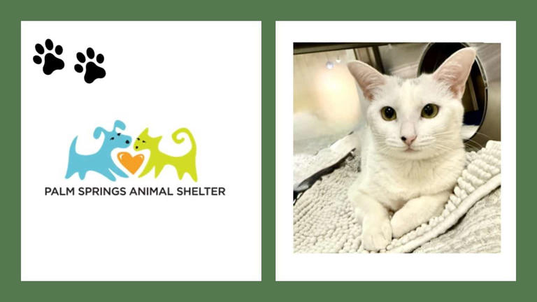 Dec. 2 Daily Briefing: Memorial groundbreaking, projects sent back to ...