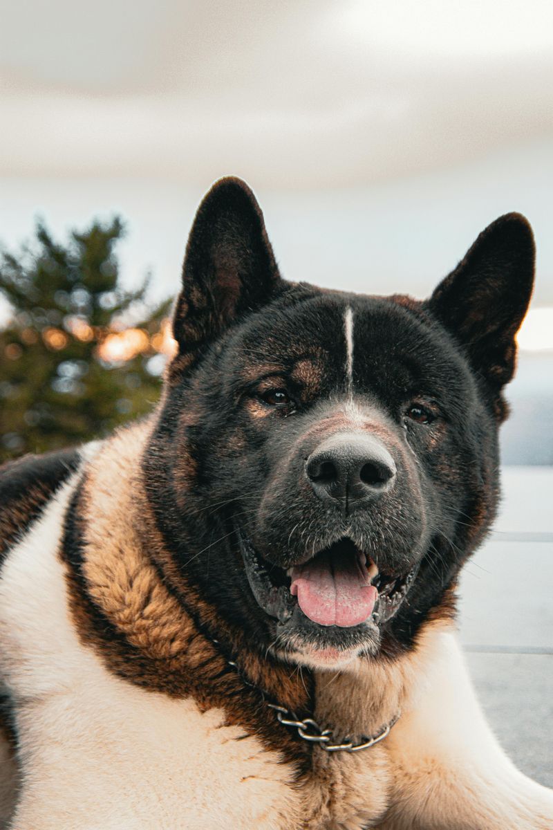 10 Dog Breeds That May Not Be the Ideal Choice for Families