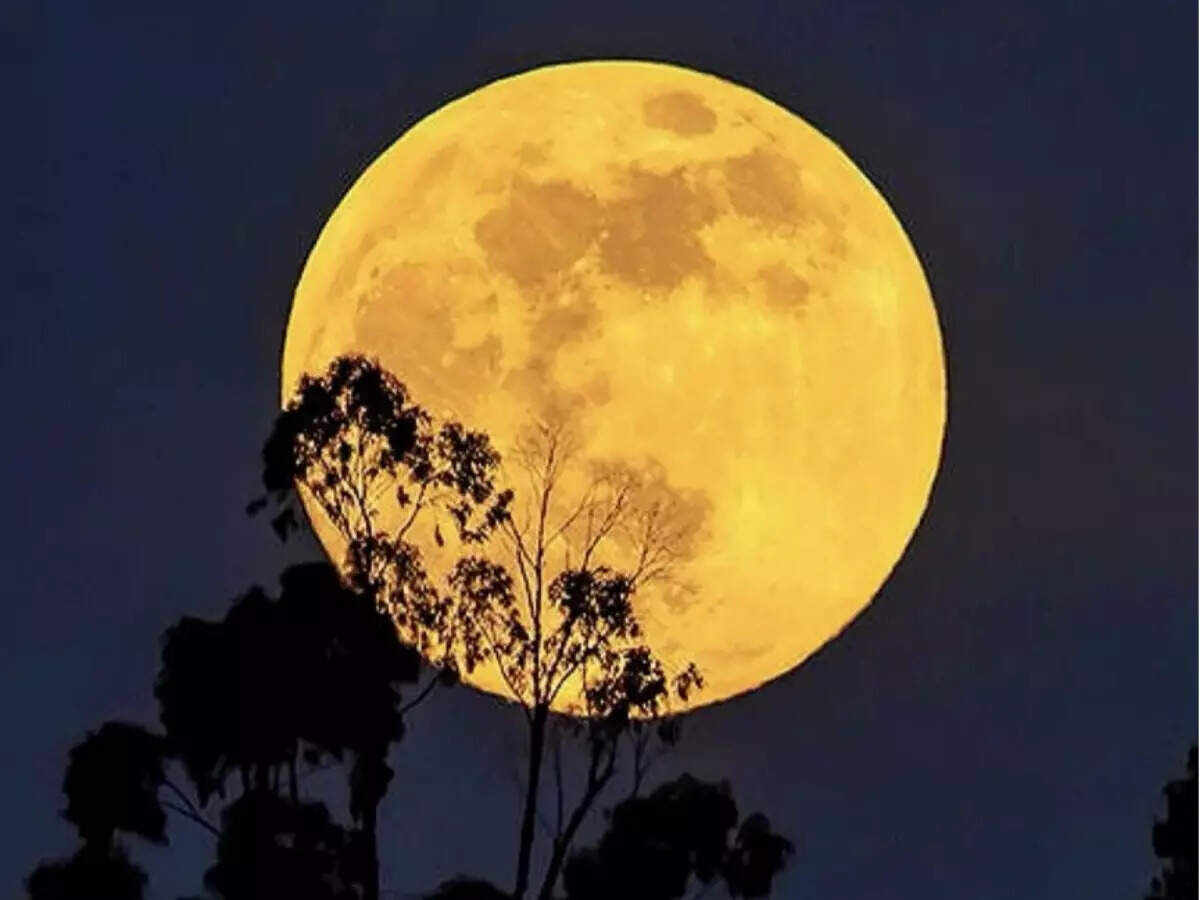 Last Full Moon of 2025 in Taurus: How to use the Cold Moon energy to ...