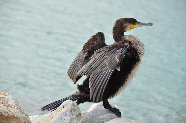The World's Most Isolated Islands
