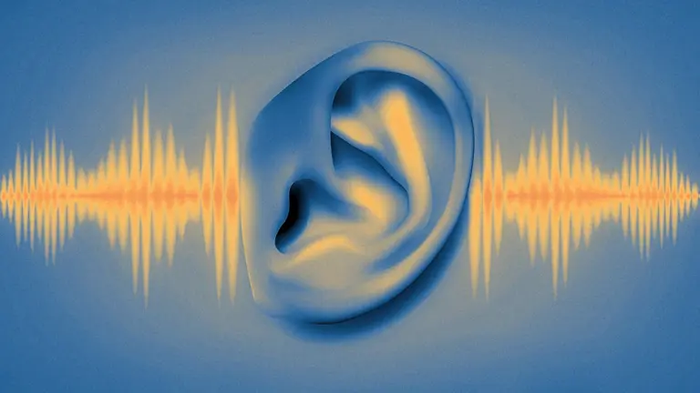 You can learn to be a better listener. Here’s how