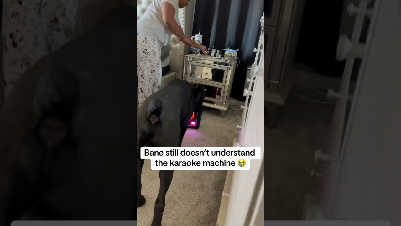Dog joins mom for a hilarious karaoke sing-along