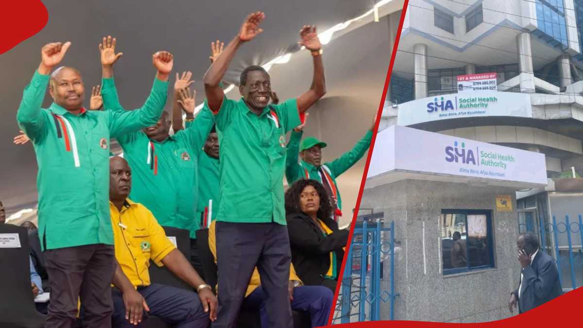 Explainer: Benefits teachers will enjoy under SHA medical scheme after ...