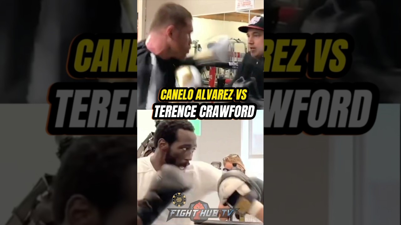 Canelo Alvarez vs Terence Crawford | SIDE BY SIDE Workout Comparison