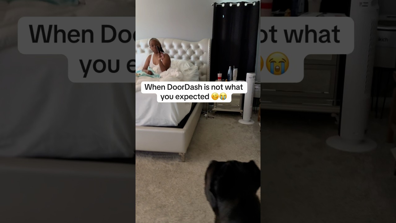 Dog is intrigued when mom's food delivery goes sideways