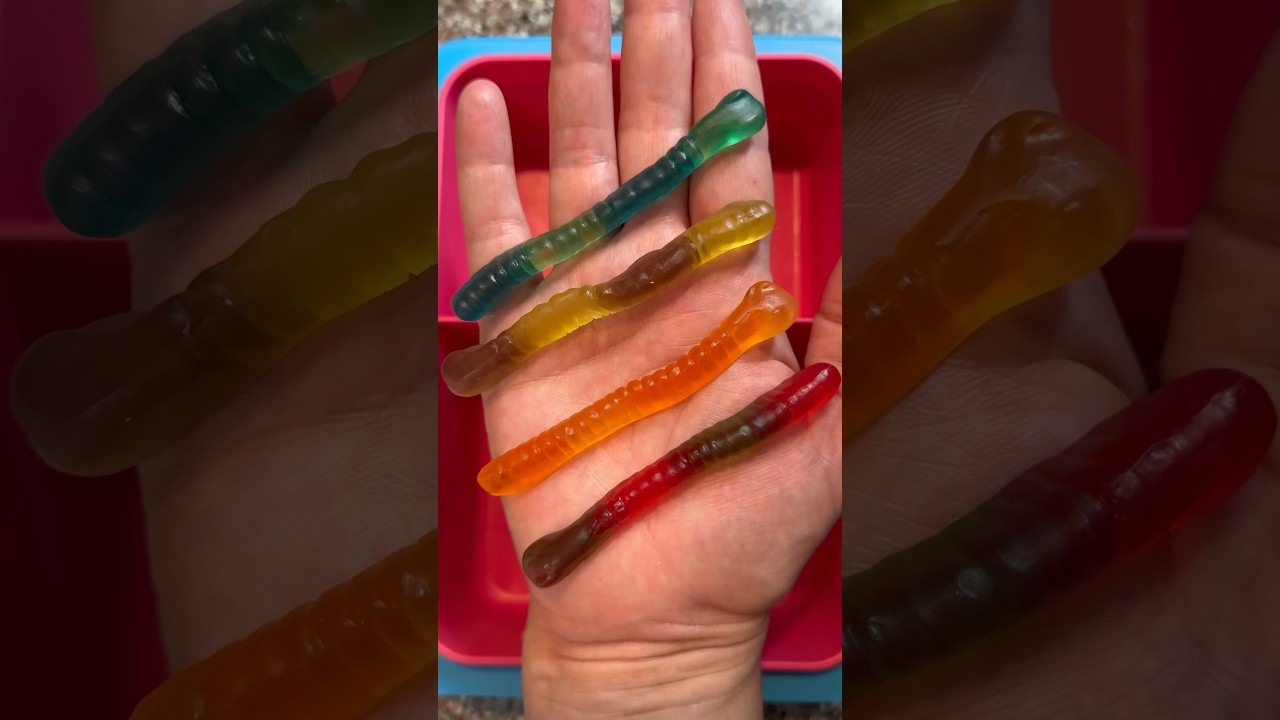 Earthquake strikes during back to school lunch prep