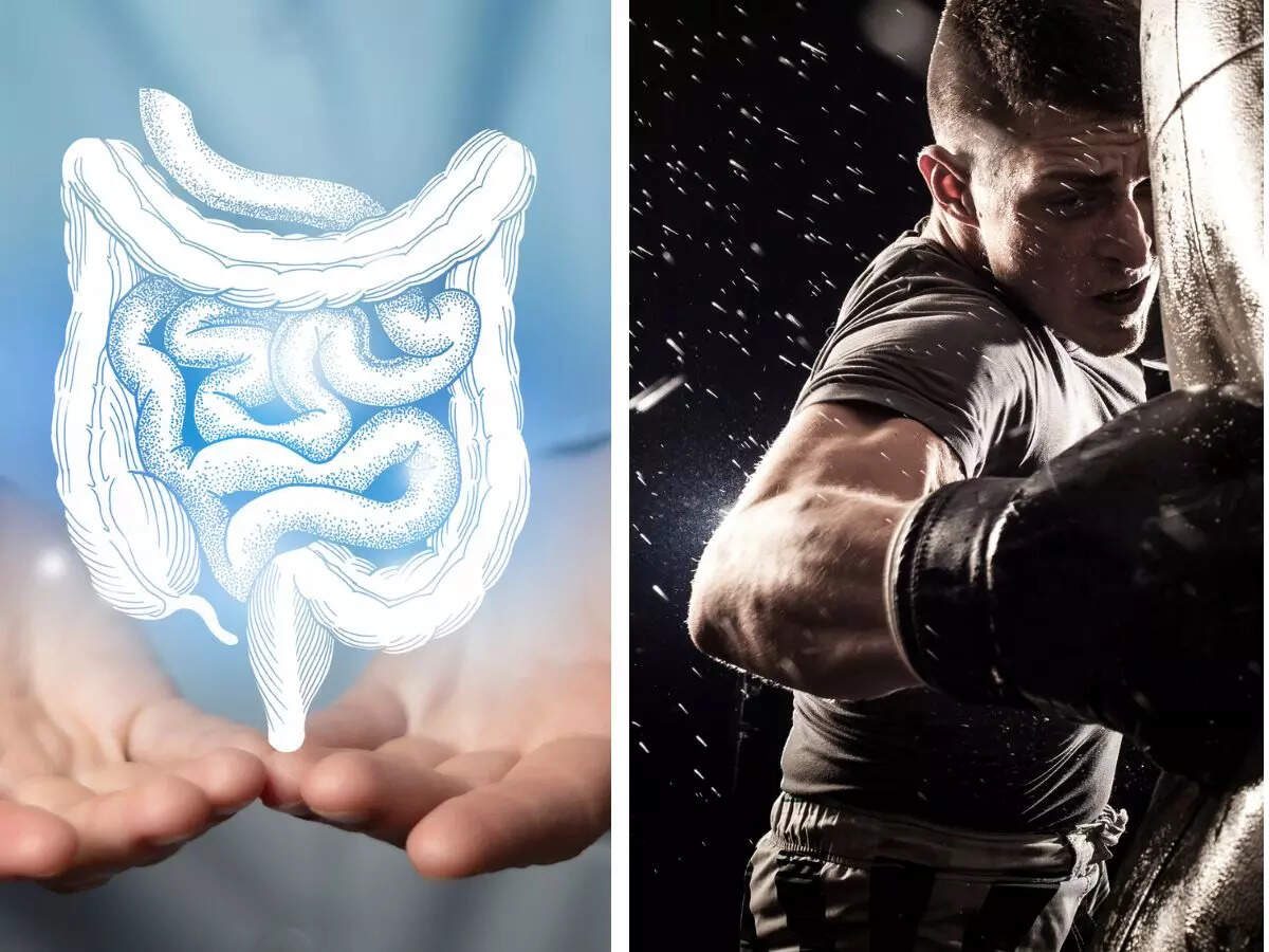 Secret weapon your gut needed? Eat this one protein rich food three ...