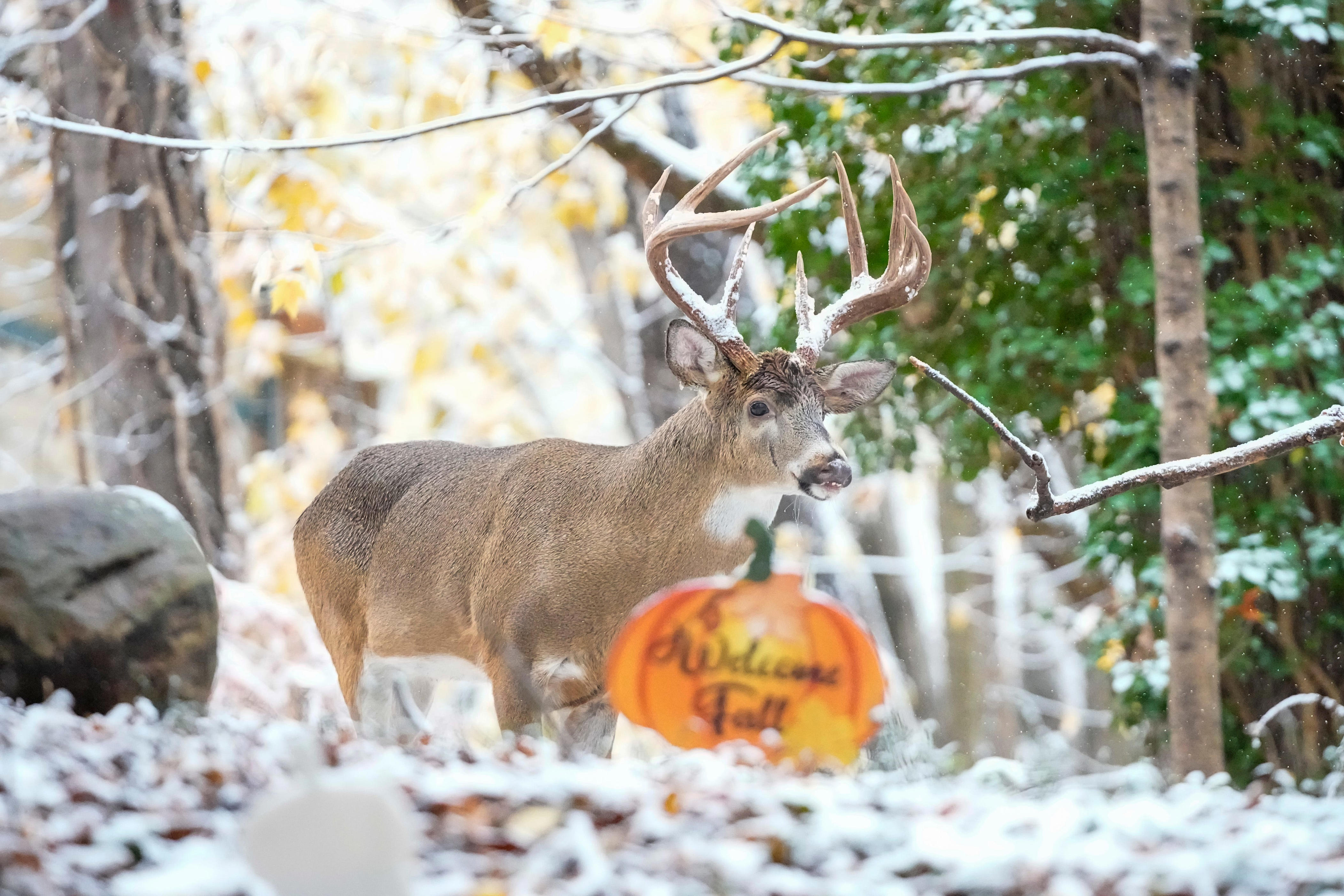 Several central Ohio counties under snow emergencies Dec. 2