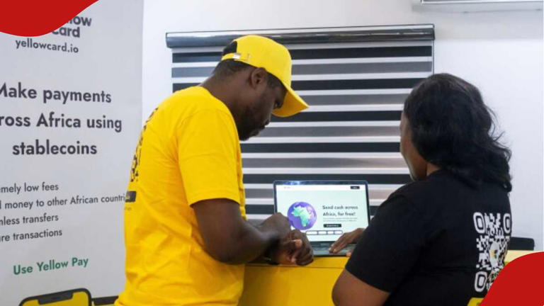 Yellow Card names former PayPal and dLocal executive Maria Oldham as ...