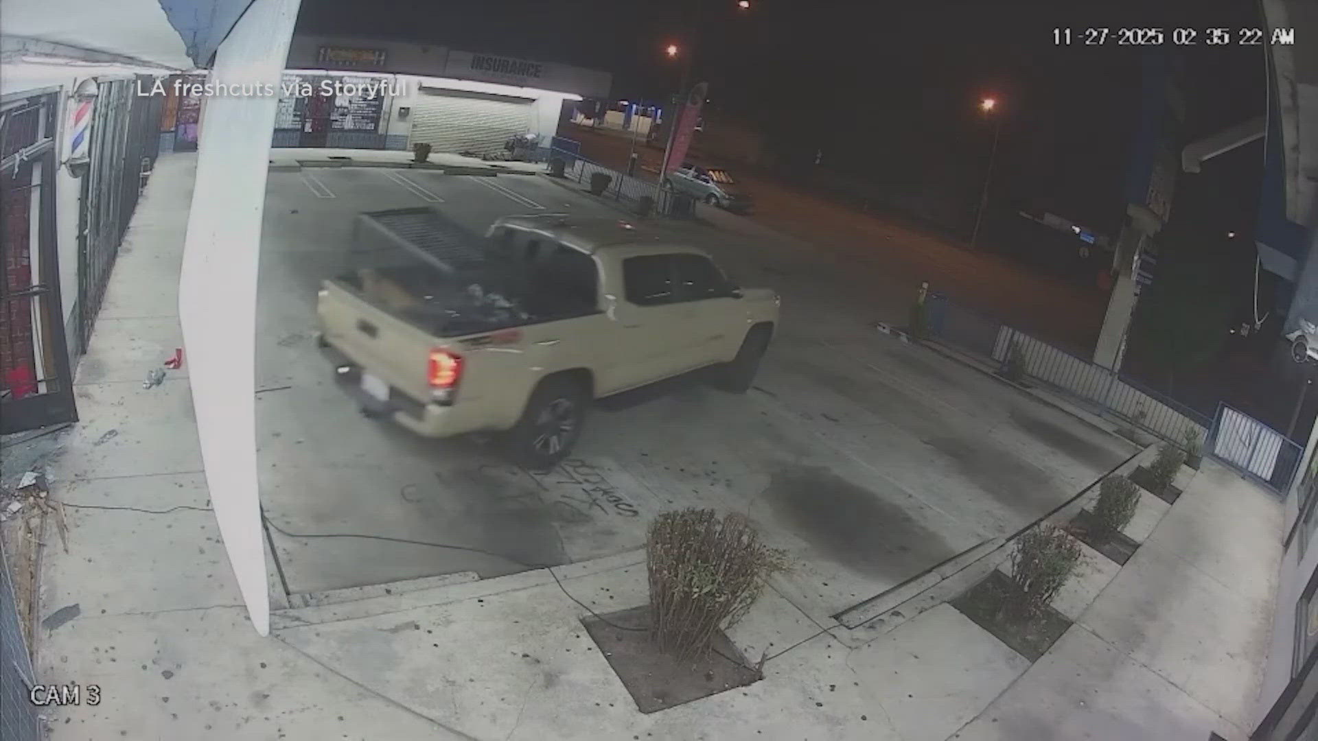 CATNAPPING: Barbershop owner pleading for return of his beloved exotic ...