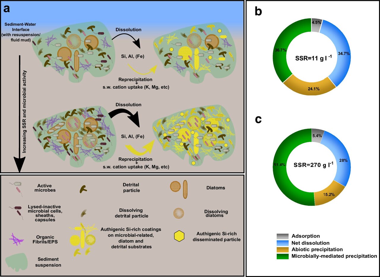 Studies reevaluate reverse weathering process, shifting understanding ...
