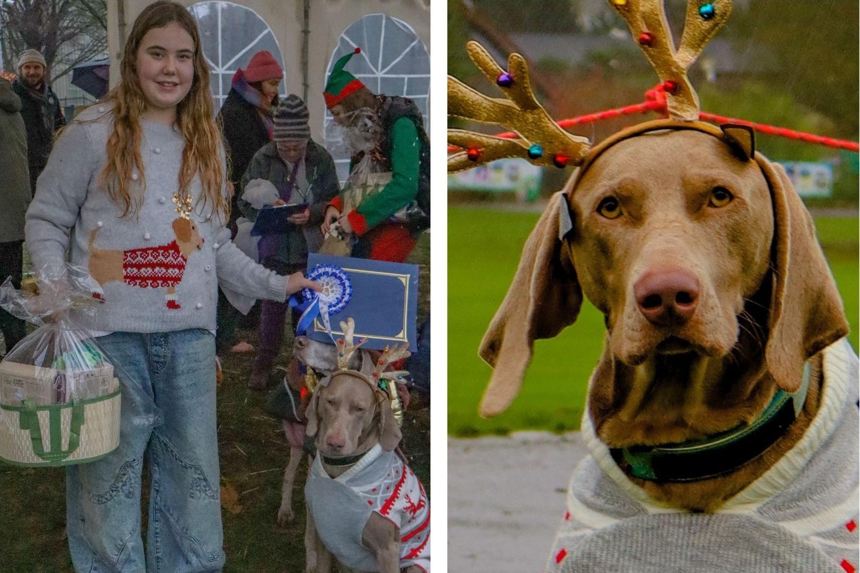 Monty leads the way as Wicksteed Park delivers a paw-some Christmas dog ...