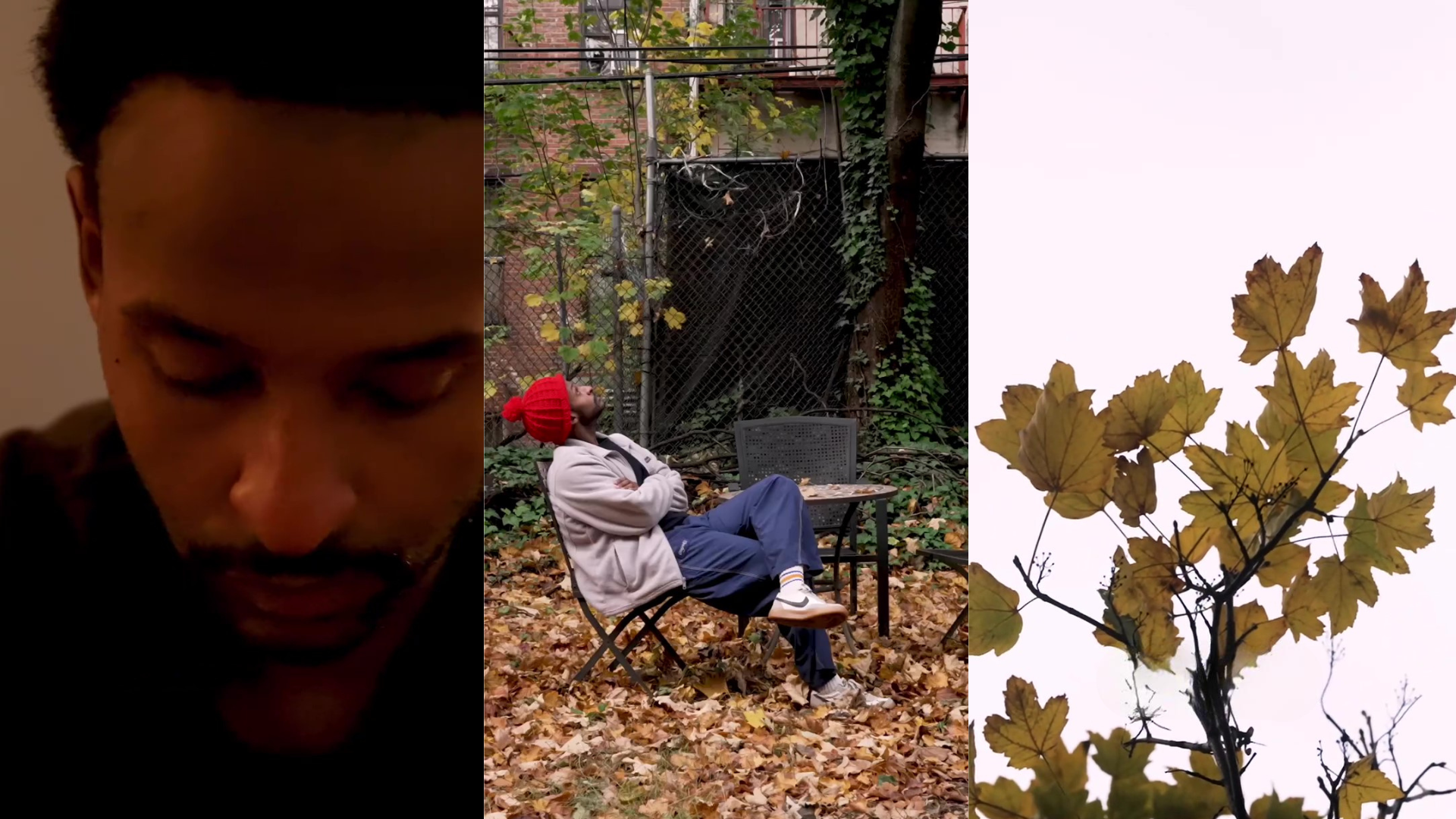 I decided to be more like the trees...