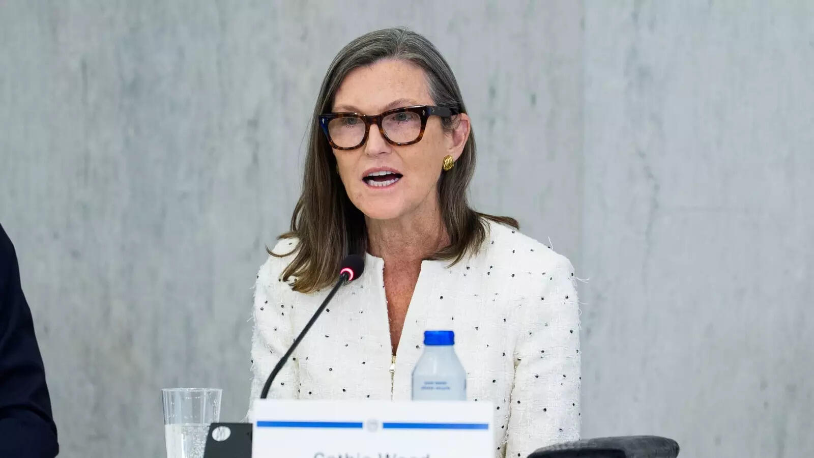 No AI bubble? Cathie Wood says the real danger is a 2026 rate-hike ...