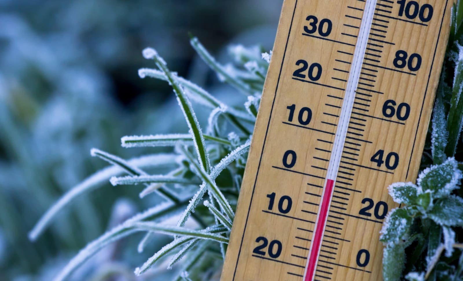 Météo : quel temps fera-t-il pour Noël cette année