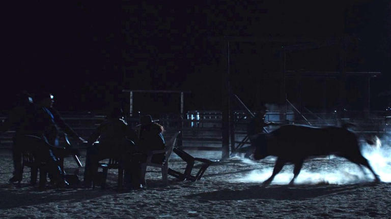 Yellowstone's Wild Season 2 Bull Scene Was Inspired By A Bizarre Real ...