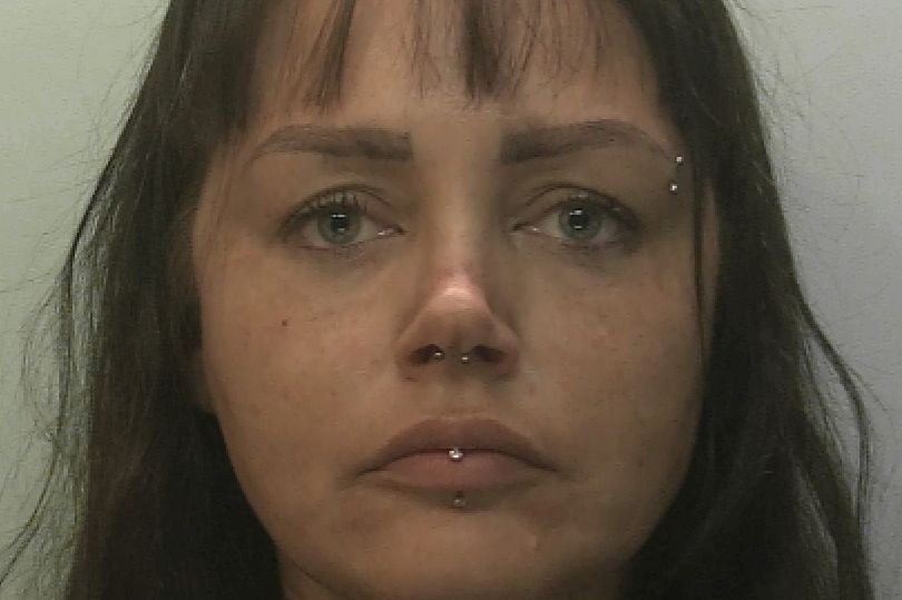 'Cunning' Plymouth burglar who targets elderly victims jailed again