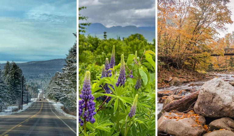 Take Better Travel Pics: Landscape Photography Tips for iPhones