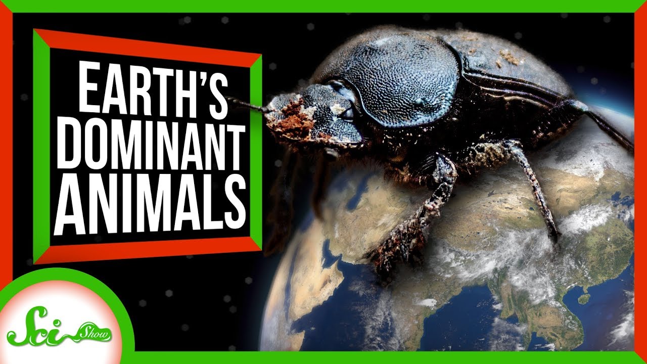 What animal dominates Earth?