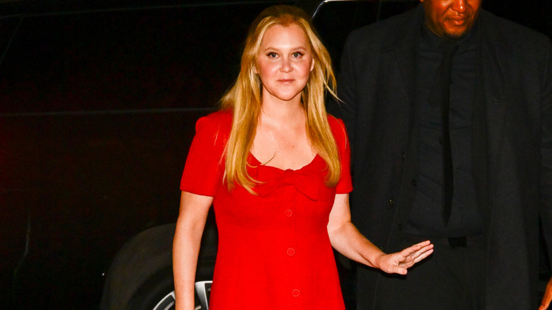 Amy Schumer All But Confirms The Chris Fischer Divorce Rumors Aren't ...