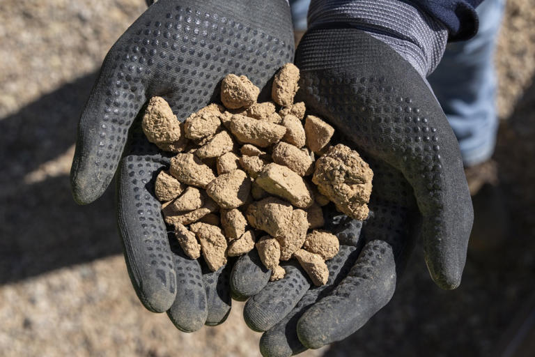 Can Arizona Miners Unleash an American Copper Boom?