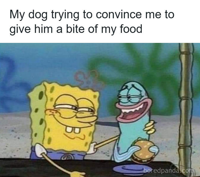50 Funny Posts That Show Humanity Shares One Collective Brain Cell