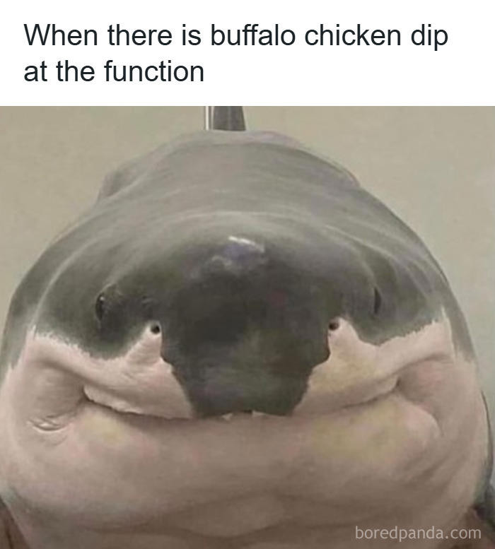 50 Funny Posts That Show Humanity Shares One Collective Brain Cell