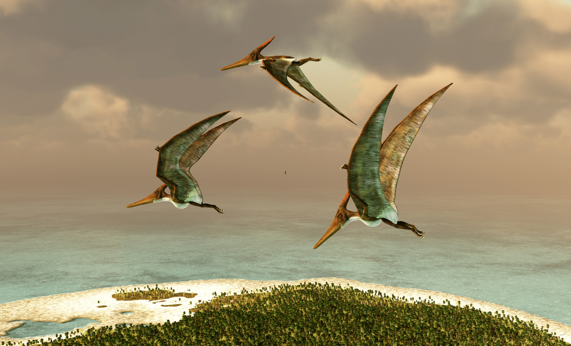 Pterosaurs: The Sky’s First Flyers Had Surprisingly Small Brains